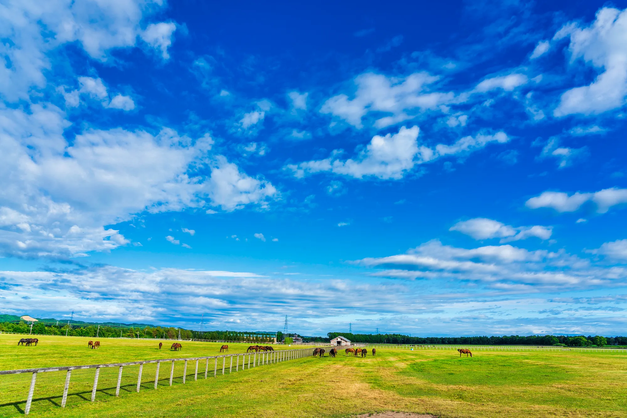 ホームページリニューアル致しました！ | 株式会社ALPHA TRAINING BASE